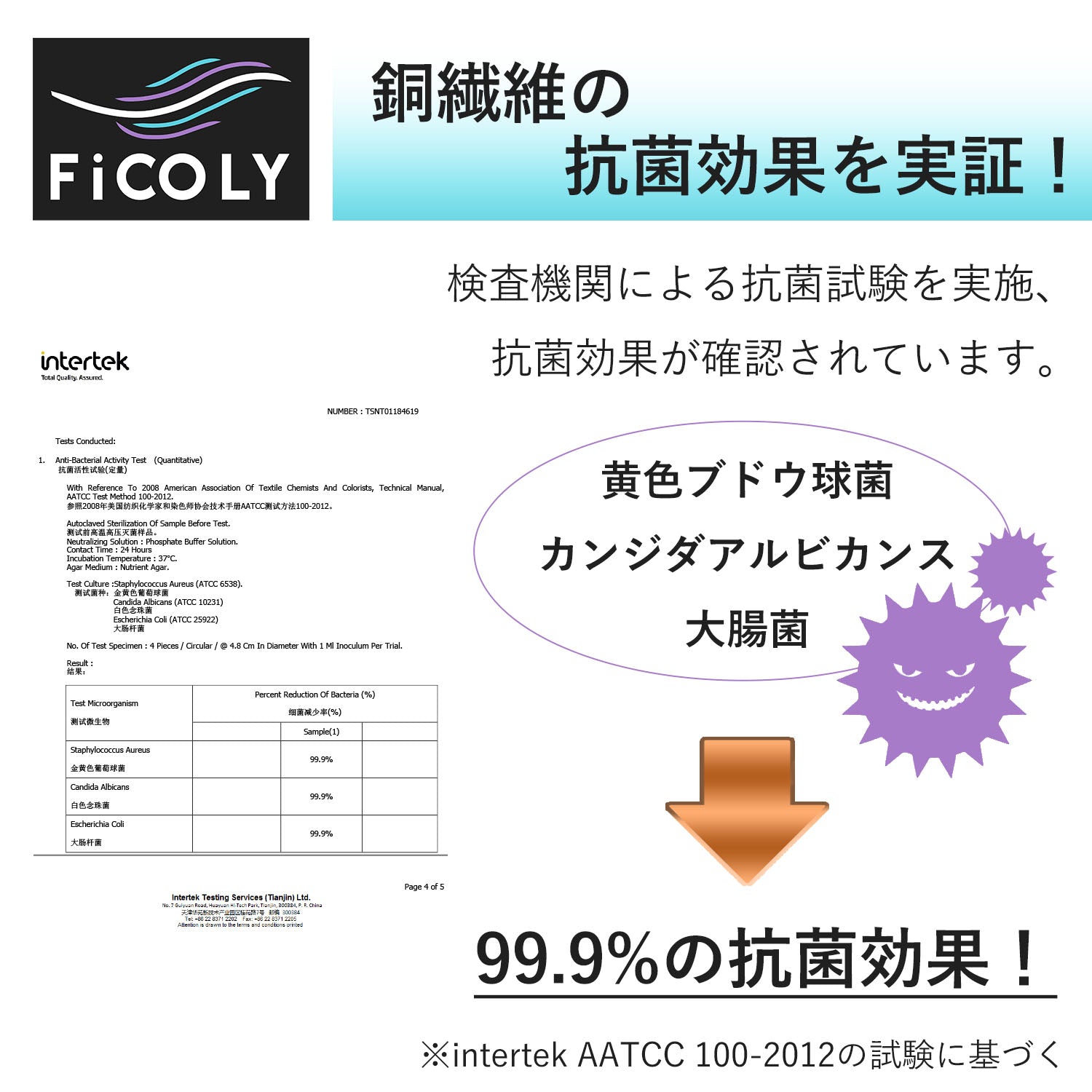 LEG / 太もも・すね・ふくらはぎ - FiCOLY（フィコリー）公式オンラインストア